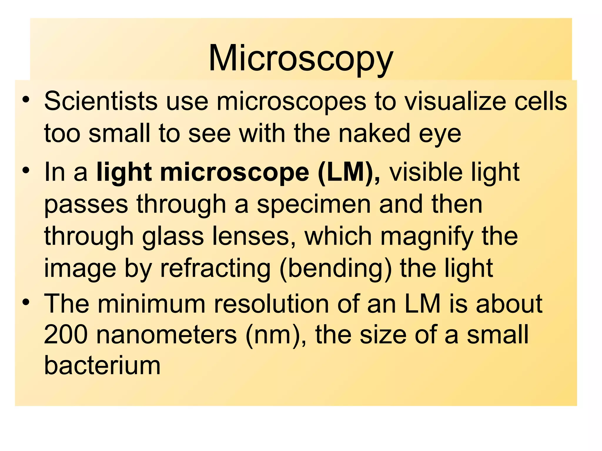 Biochapter6notes 151125141544-lva1-app6892 | PPT