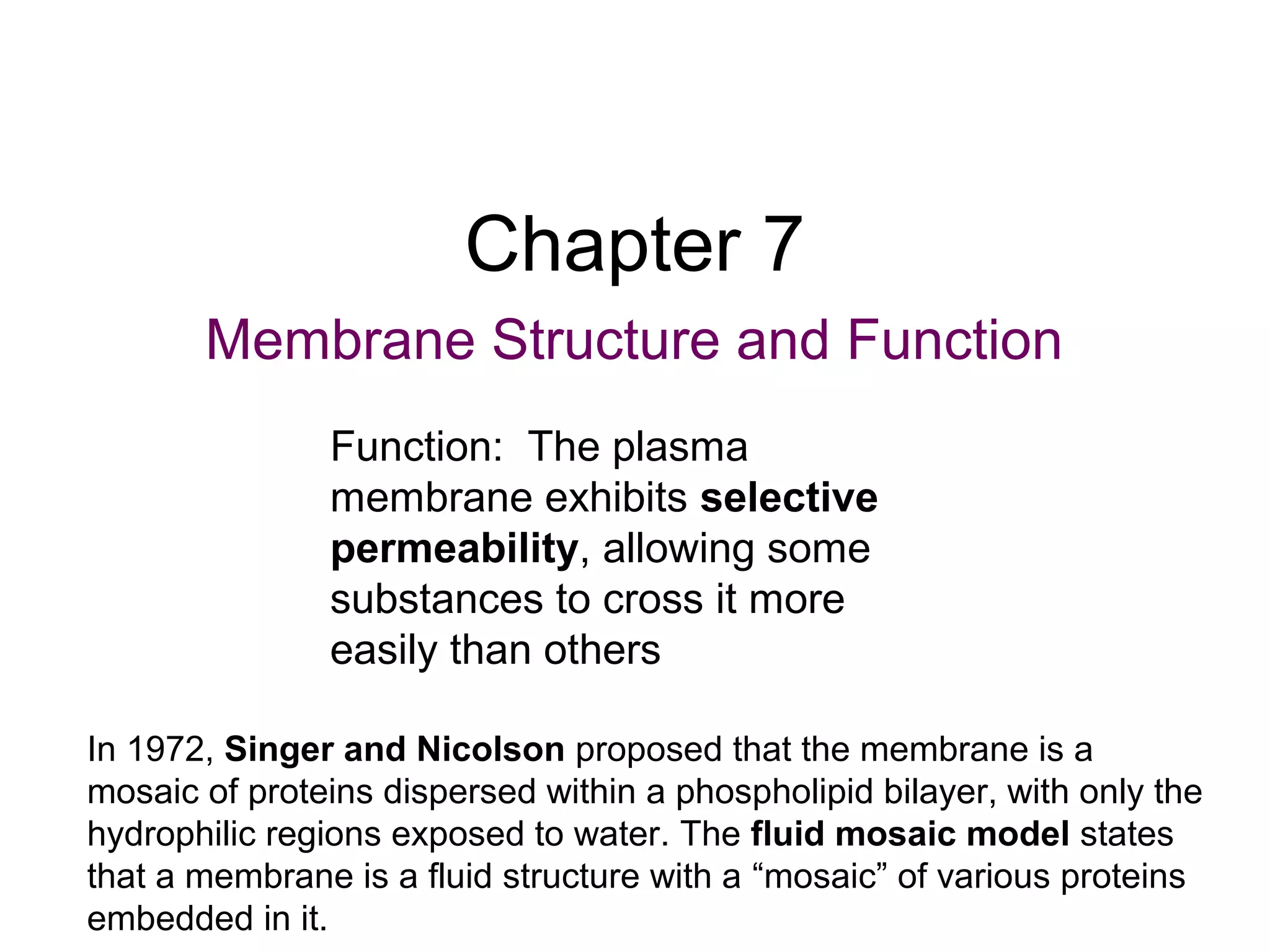 Chapter 7: Cell Membrane | PPT