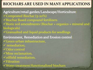 Biochar-1-12-21 (1).pptx