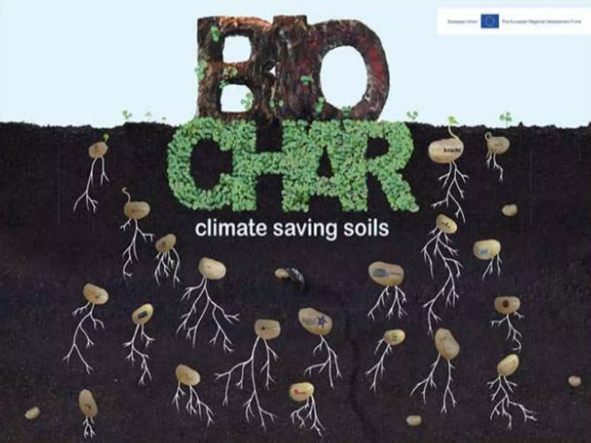 Biochar | PPT
