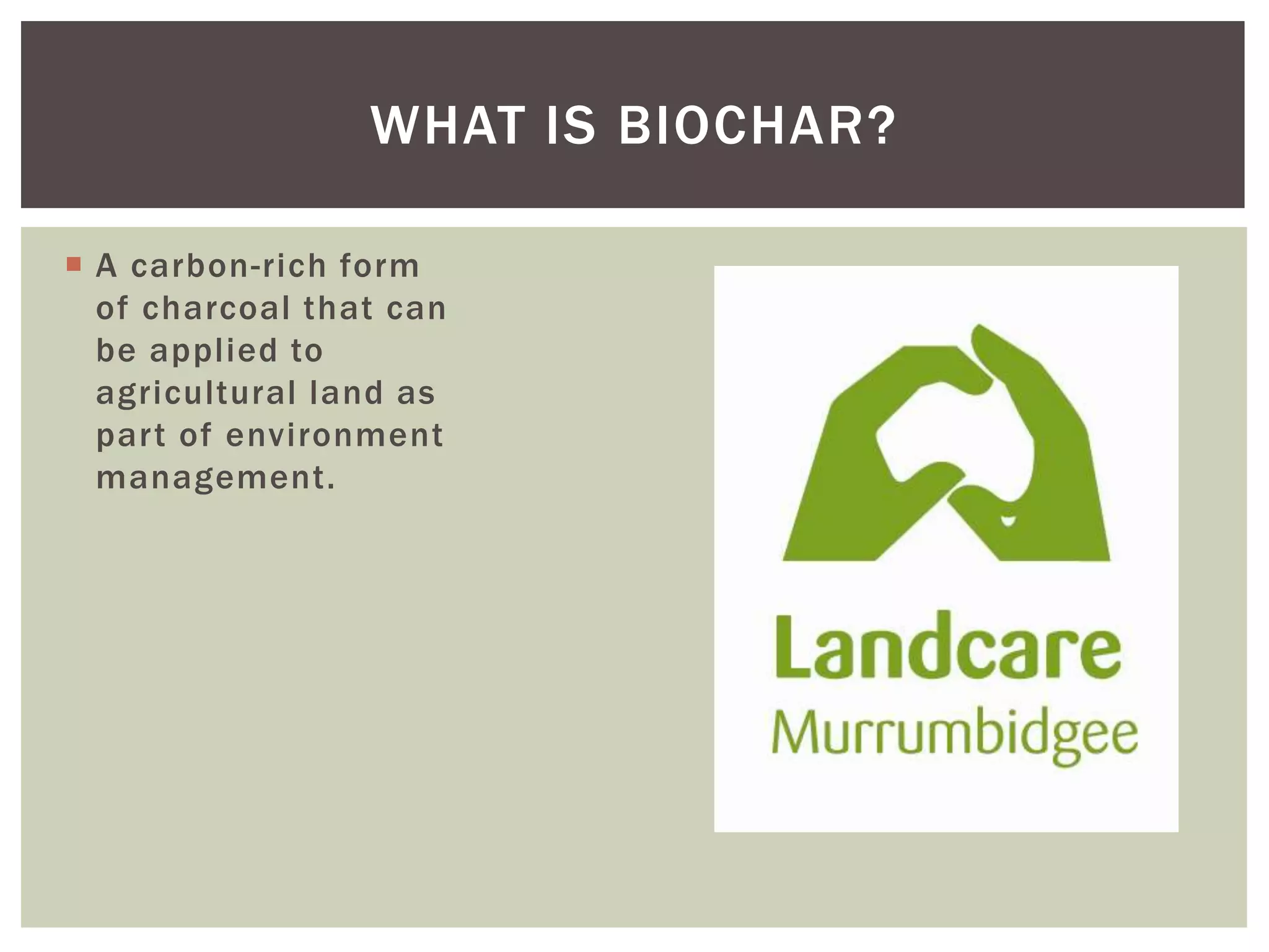 Biochar | PPTX