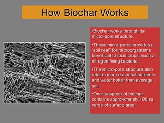Biochar: A Low Cost Solution to the Impending Global Food Crisis | PPT