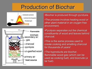 Biochar: A Low Cost Solution to the Impending Global Food Crisis | PPT