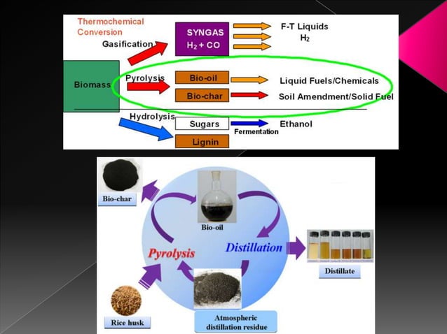 Bio-char | PPTX | Science