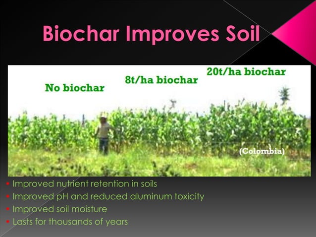 Bio-char | PPTX | Science