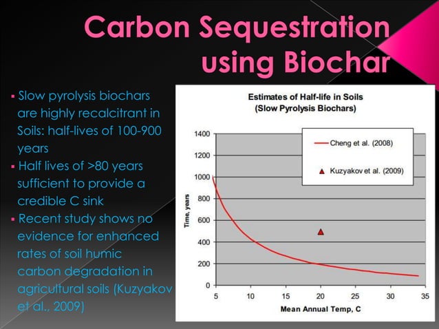 Bio-char | PPTX | Science