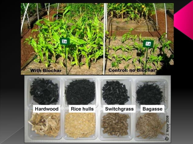 Bio-char | PPTX | Science