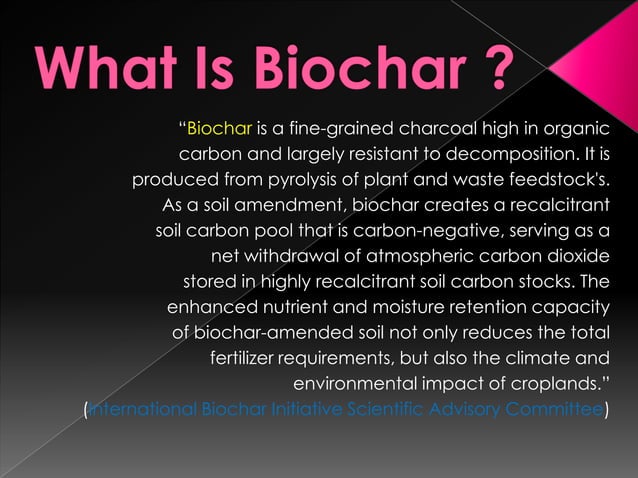 Bio-char | PPTX | Science