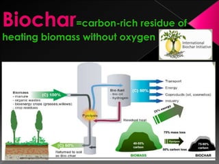 Bio-char | PPTX