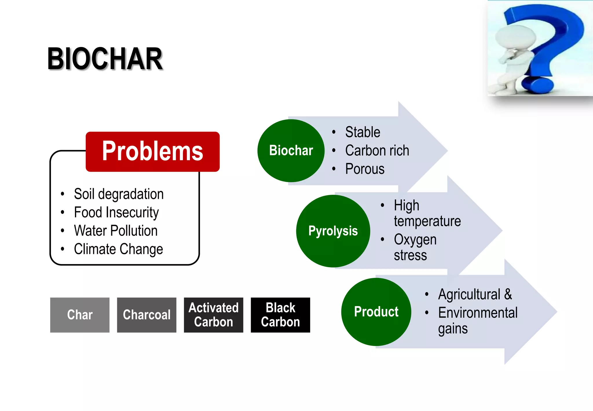 Biochar.pdf