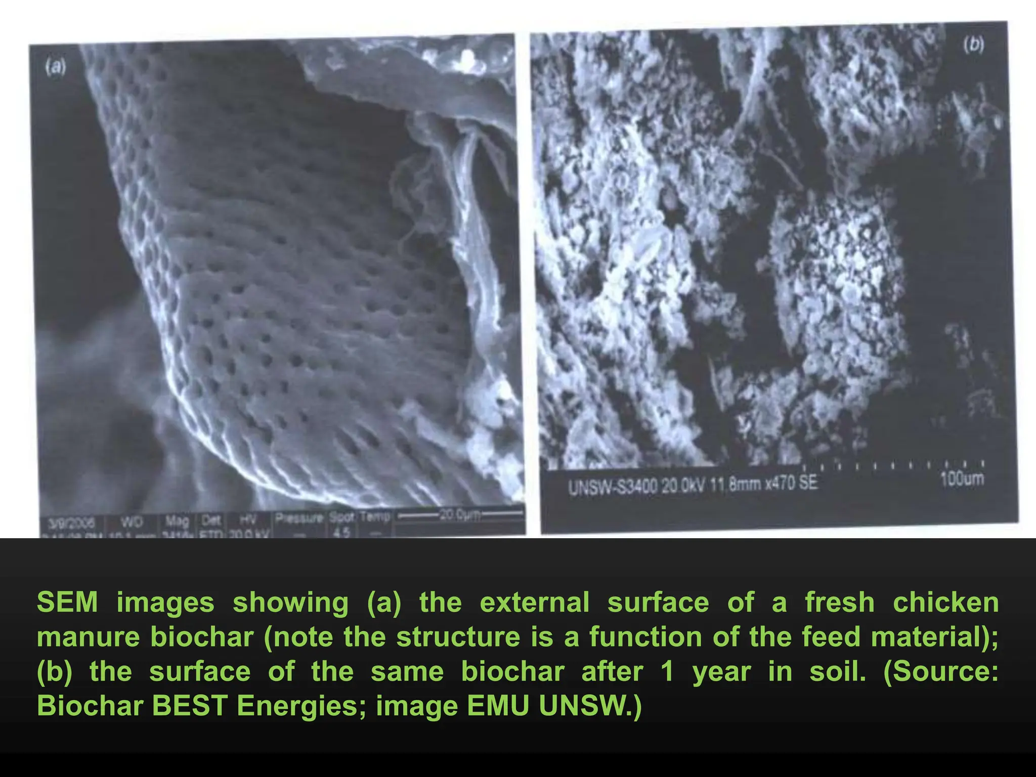 Biochar, Biomass, Soil and Agriculture - Information for public ...