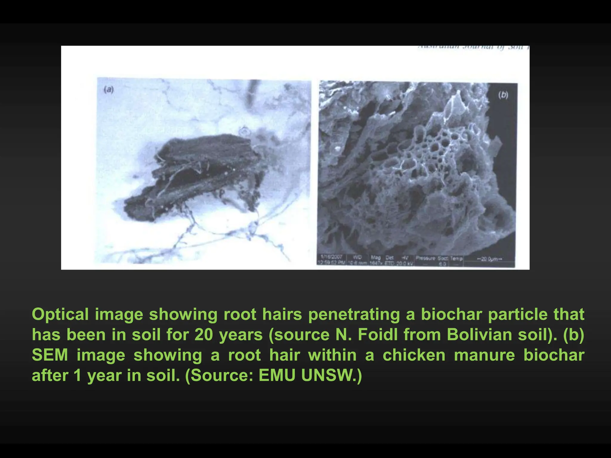 Biochar, Biomass, Soil and Agriculture - Information for public ...