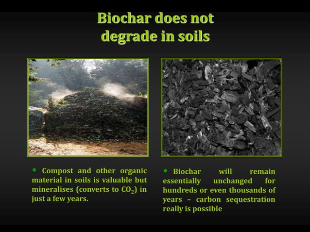 Biochar, Biomass, Soil and Agriculture - Information for public ...