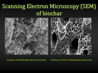Biochar, Biomass, Soil and Agriculture - Information for public ...