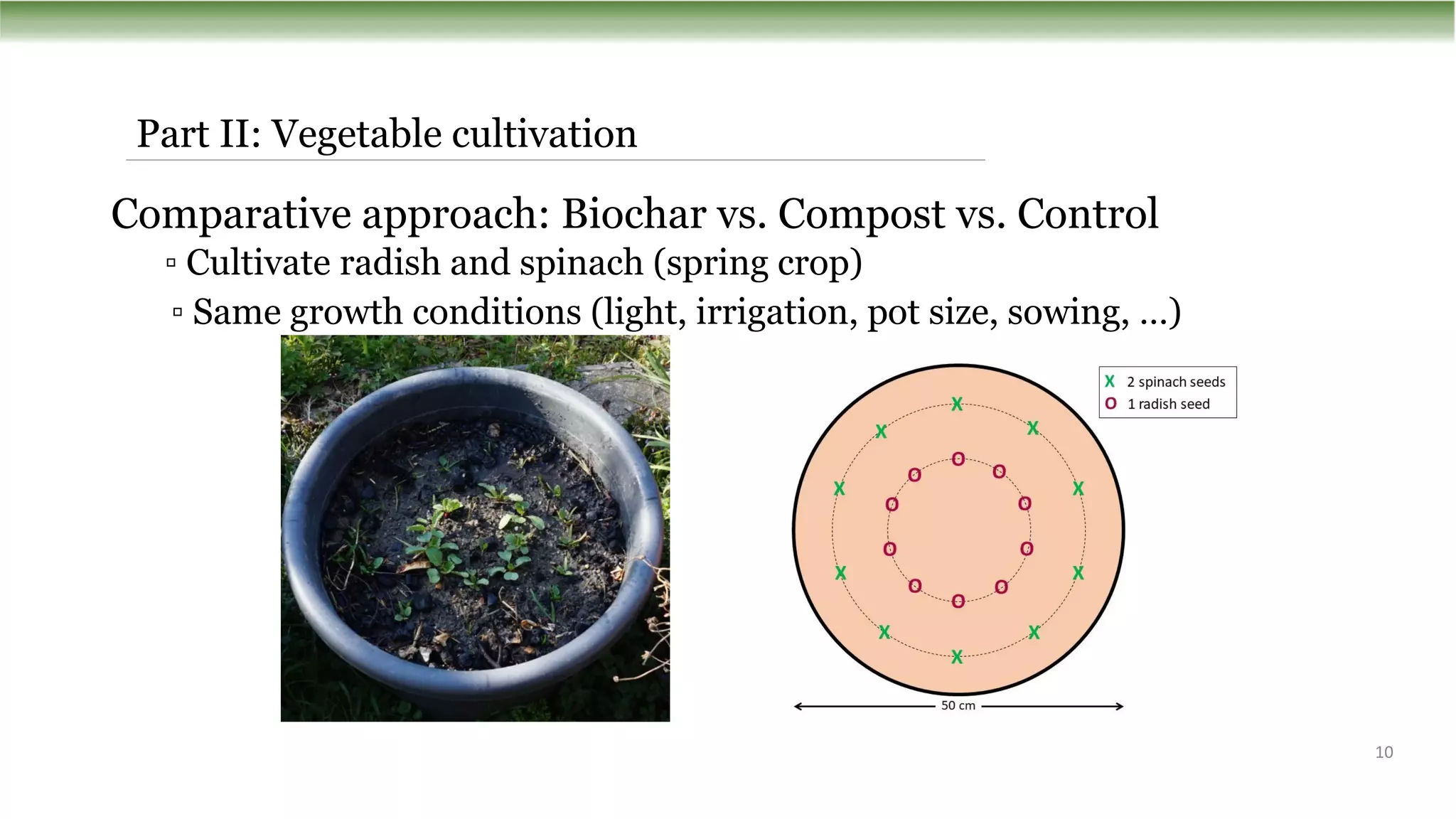 Biochar-presentation final pdf.pdf