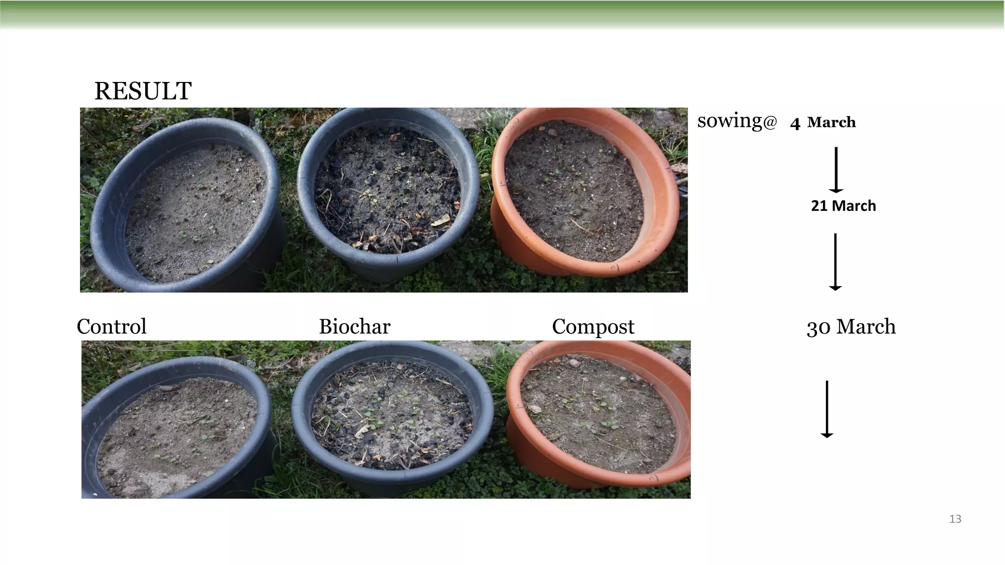 Biochar-presentation final pdf.pdf