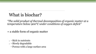Biochar-presentation final pdf.pdf