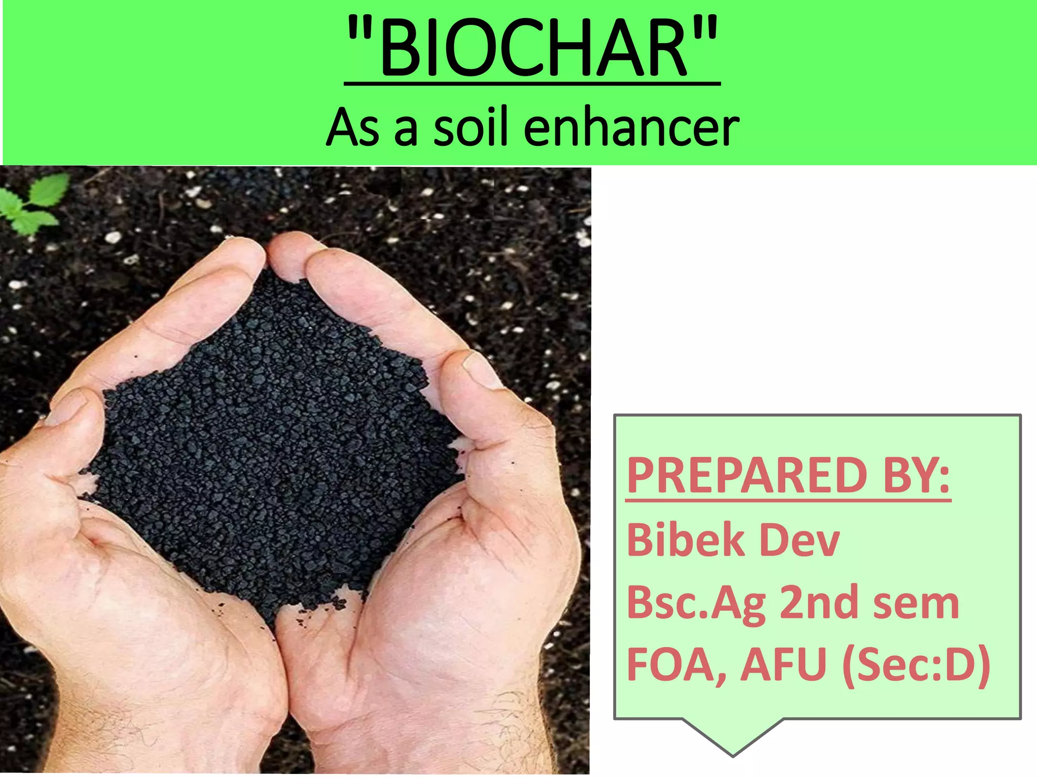 Biochar by Bibek Dev | PPT