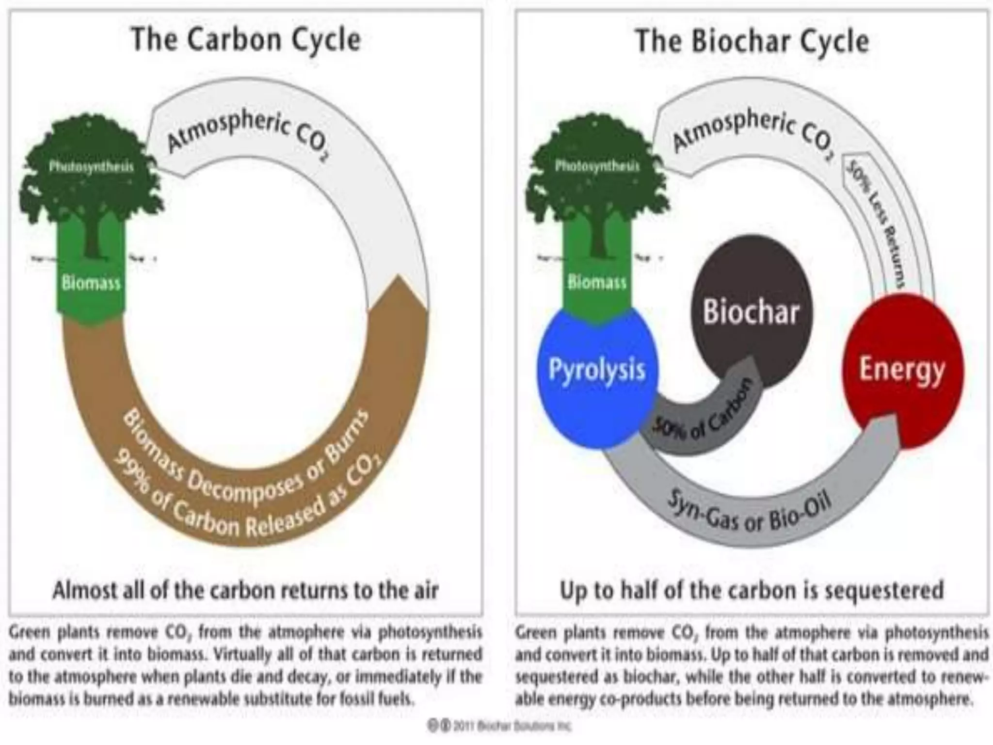 Biochar by Bibek Dev | PPTX