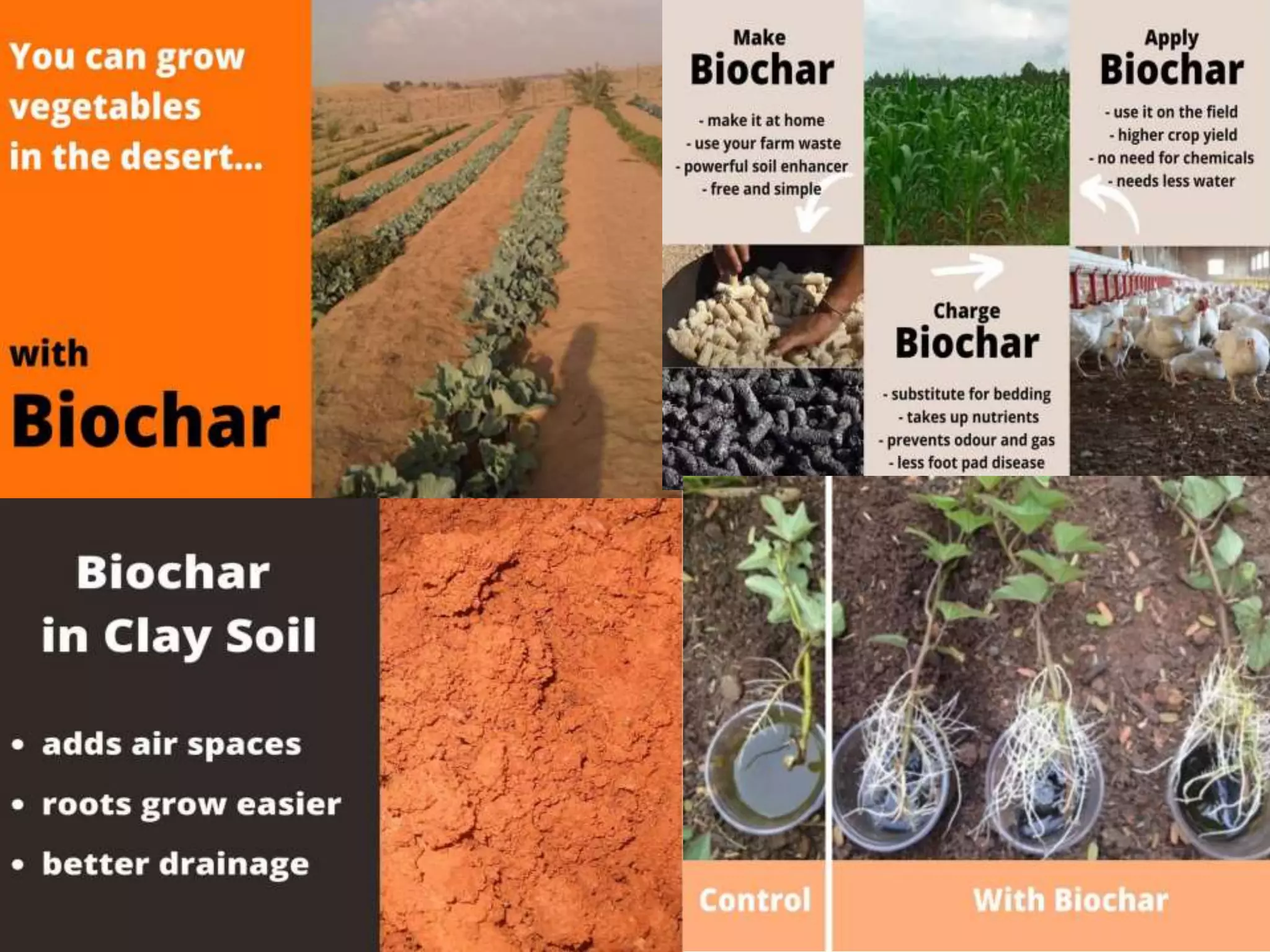 Biochar by Bibek Dev | PPTX