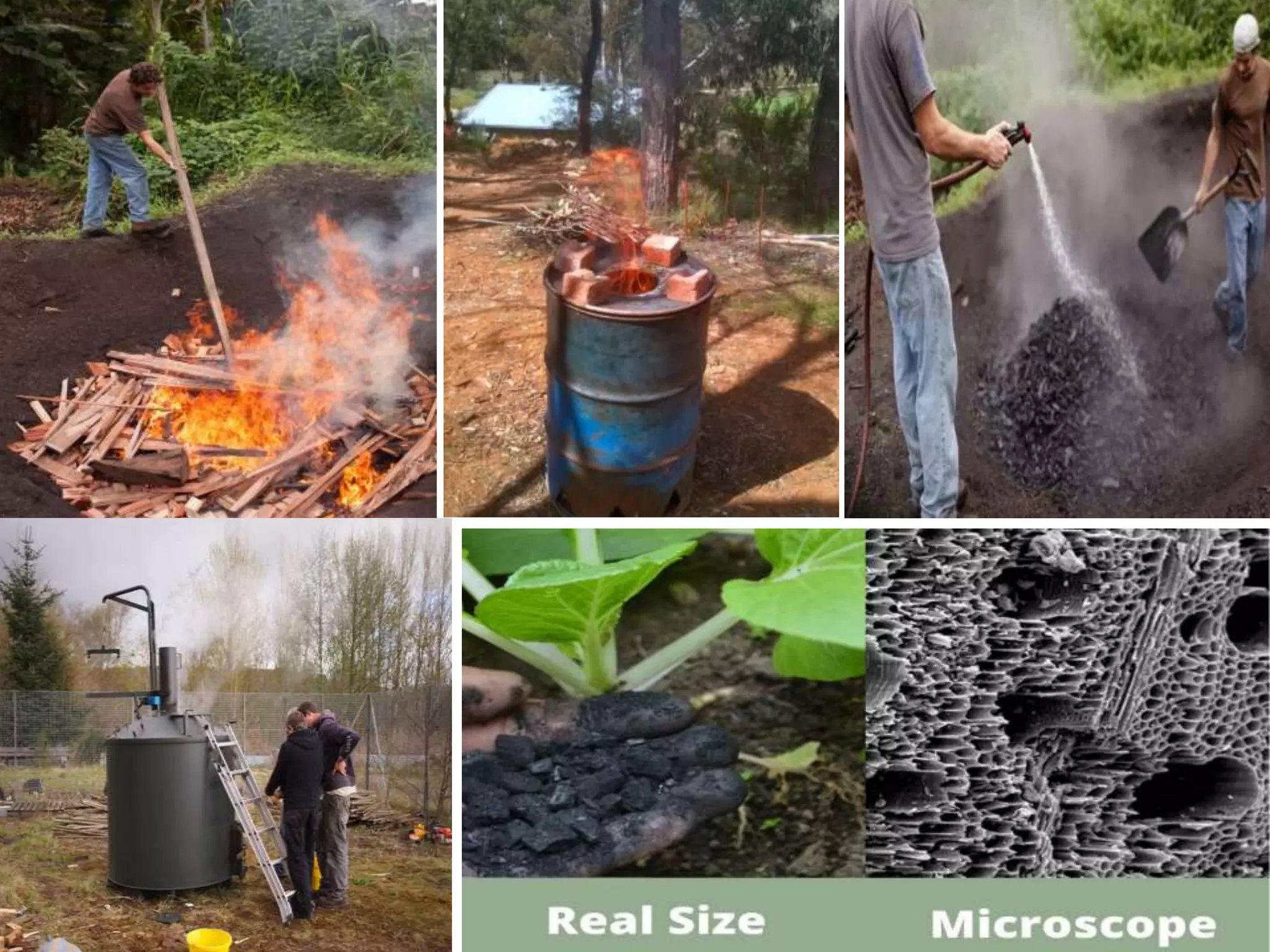 Biochar by Bibek Dev | PPT