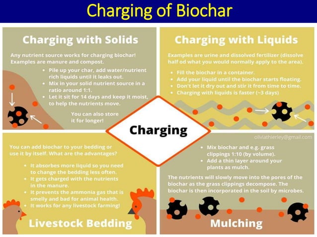 Biochar by Bibek Dev | PPTX