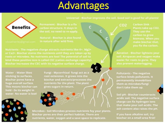 Biochar by Bibek Dev | PPTX