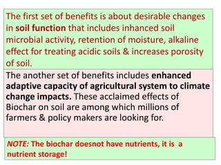 Biochar by Bibek Dev | PPTX