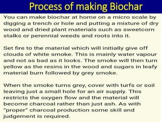 Biochar by Bibek Dev | PPTX