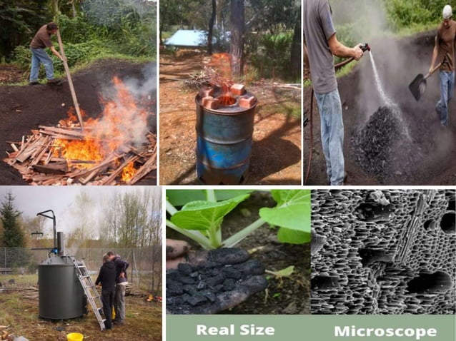 Biochar by Bibek Dev | PPTX