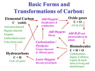 Biochar Basics - McLaughlin.ppt