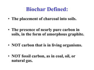 Biochar Basics - McLaughlin.ppt