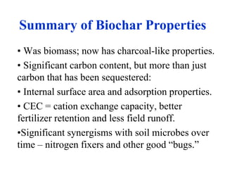 Biochar Basics - McLaughlin.ppt