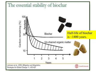 Biochar Basics - McLaughlin.ppt