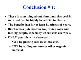 Biochar Basics - McLaughlin.ppt