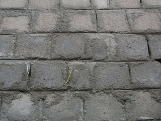 Biochar bricks and green buildings | PPTX