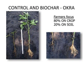 Biochar bricks and green buildings | PPTX
