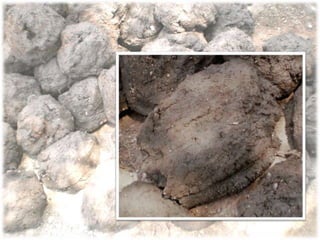 Biochar bricks and green buildings | PPTX