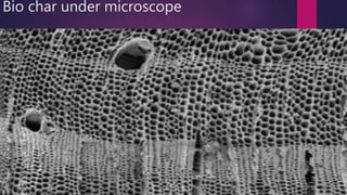 Biochar | PPTX