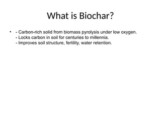 Biochar_Carbon_Credit__Presentation.pptx