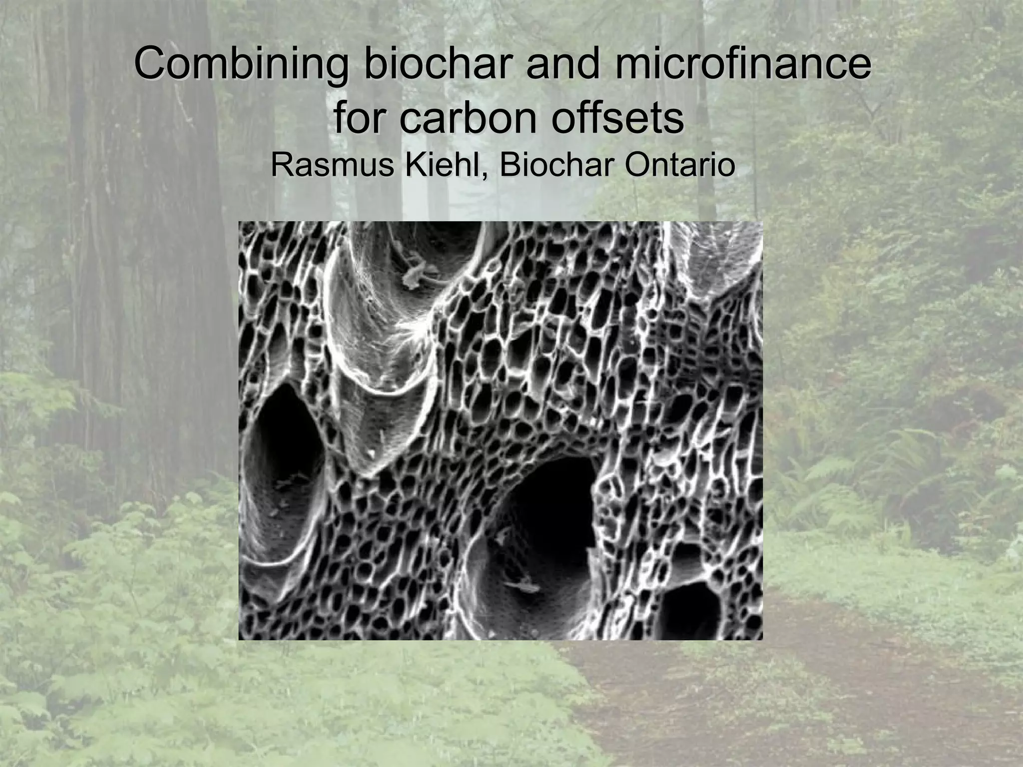 Biochar Carbon Offsets | PPT