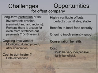 Biochar Carbon Offsets | PPT