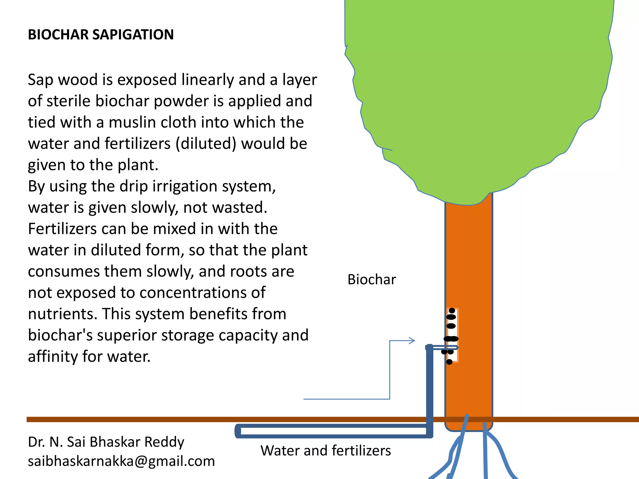 Biochar Conserving Water for Plants | PPTX