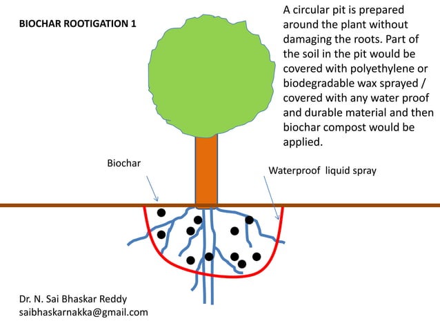 Biochar Conserving Water for Plants | PPTX