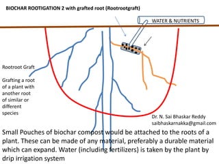 Biochar Conserving Water for Plants | PPTX
