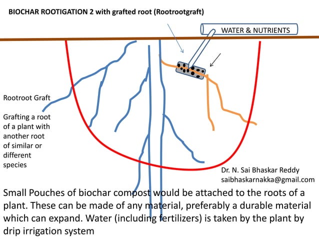 Biochar Conserving Water for Plants | PPTX