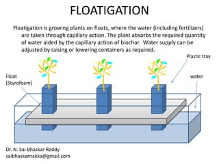 Biochar Conserving Water for Plants | PPTX