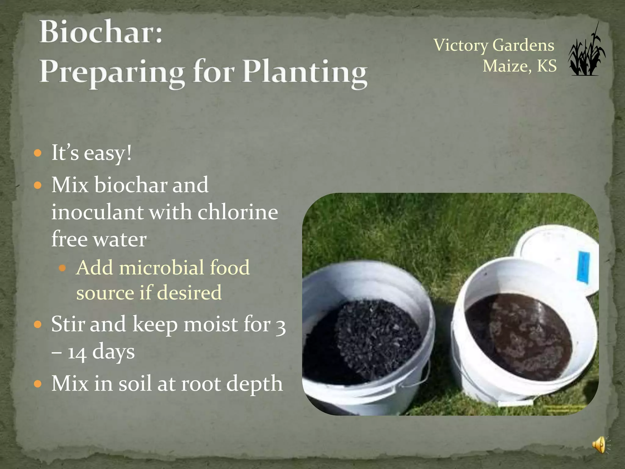 Biochar | PPTX