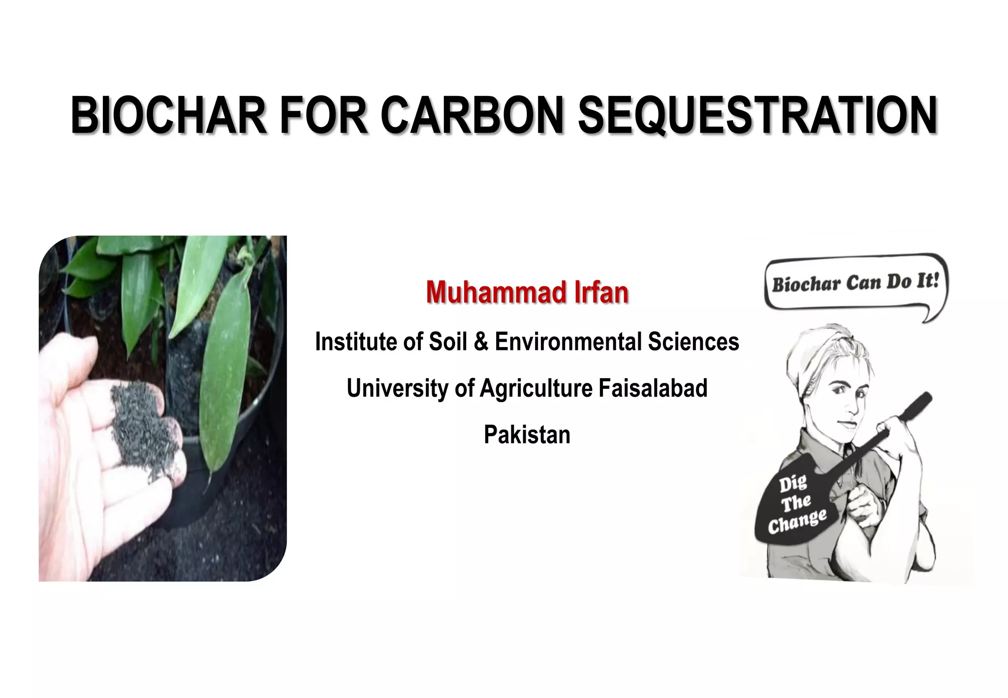 Biochar for Carbon Sequestration.pdf