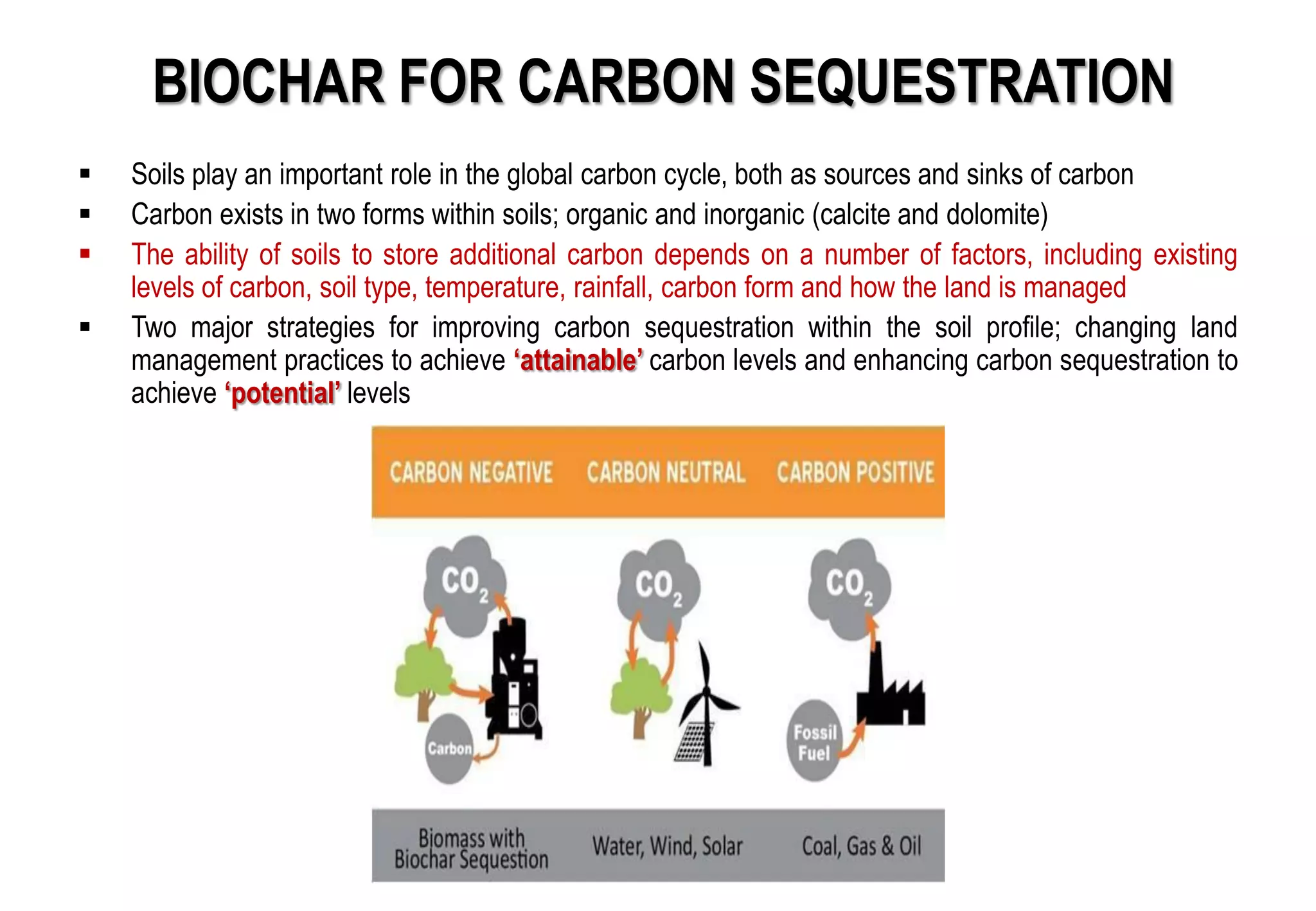 Biochar for Carbon Sequestration.pdf